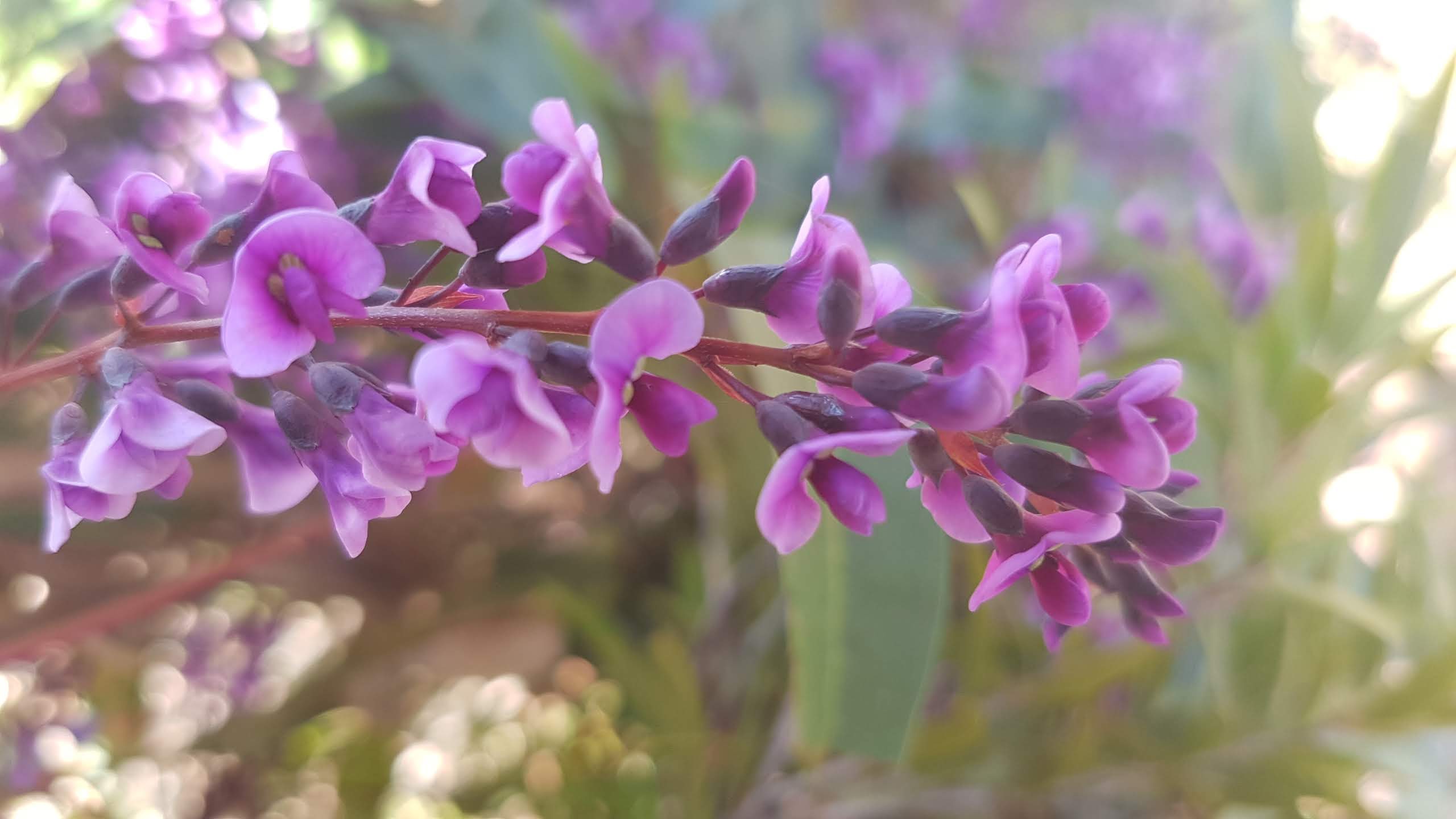 Grow with us – Treecreate