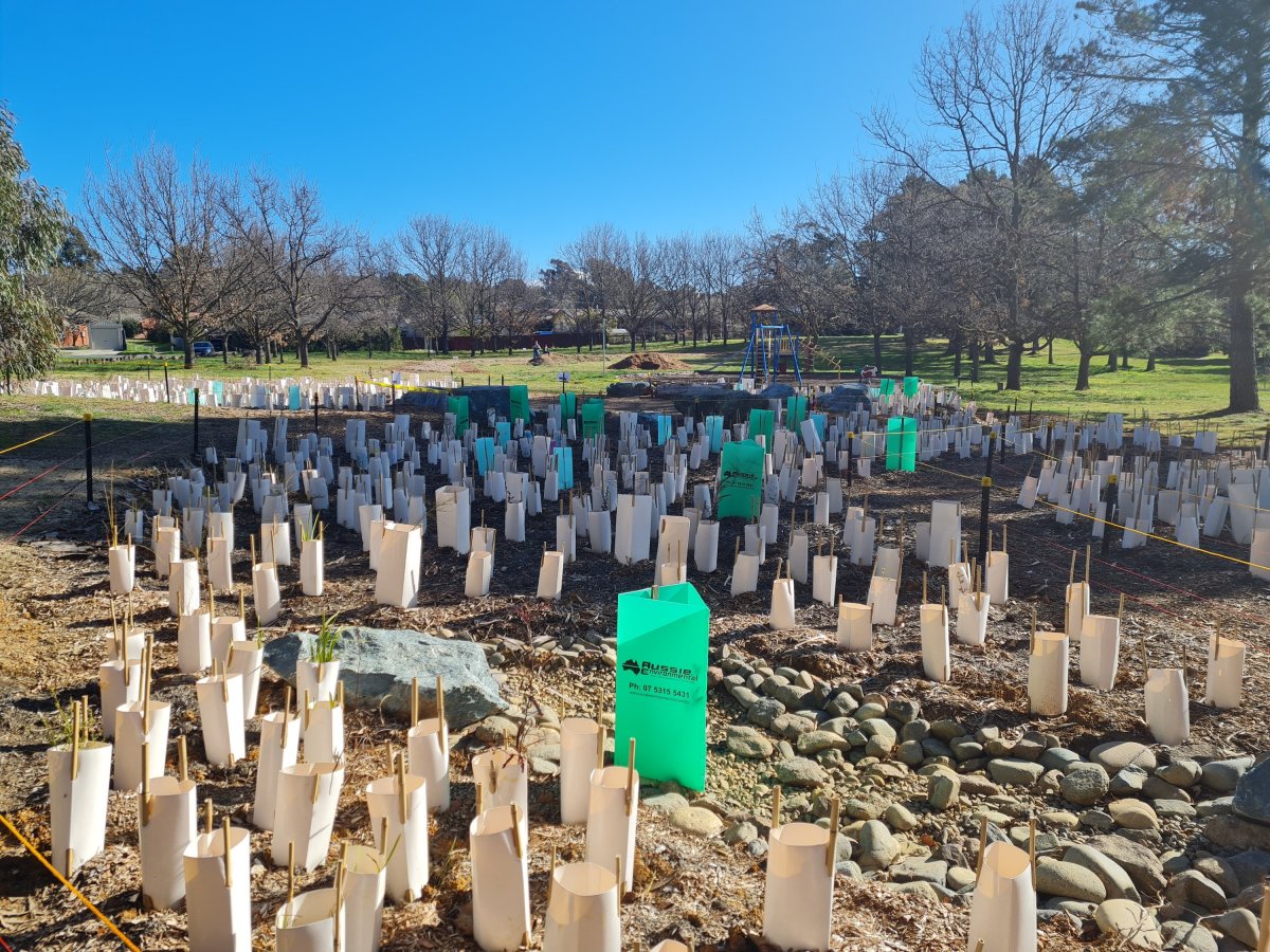 Checking in at Holt Microforest – Treecreate