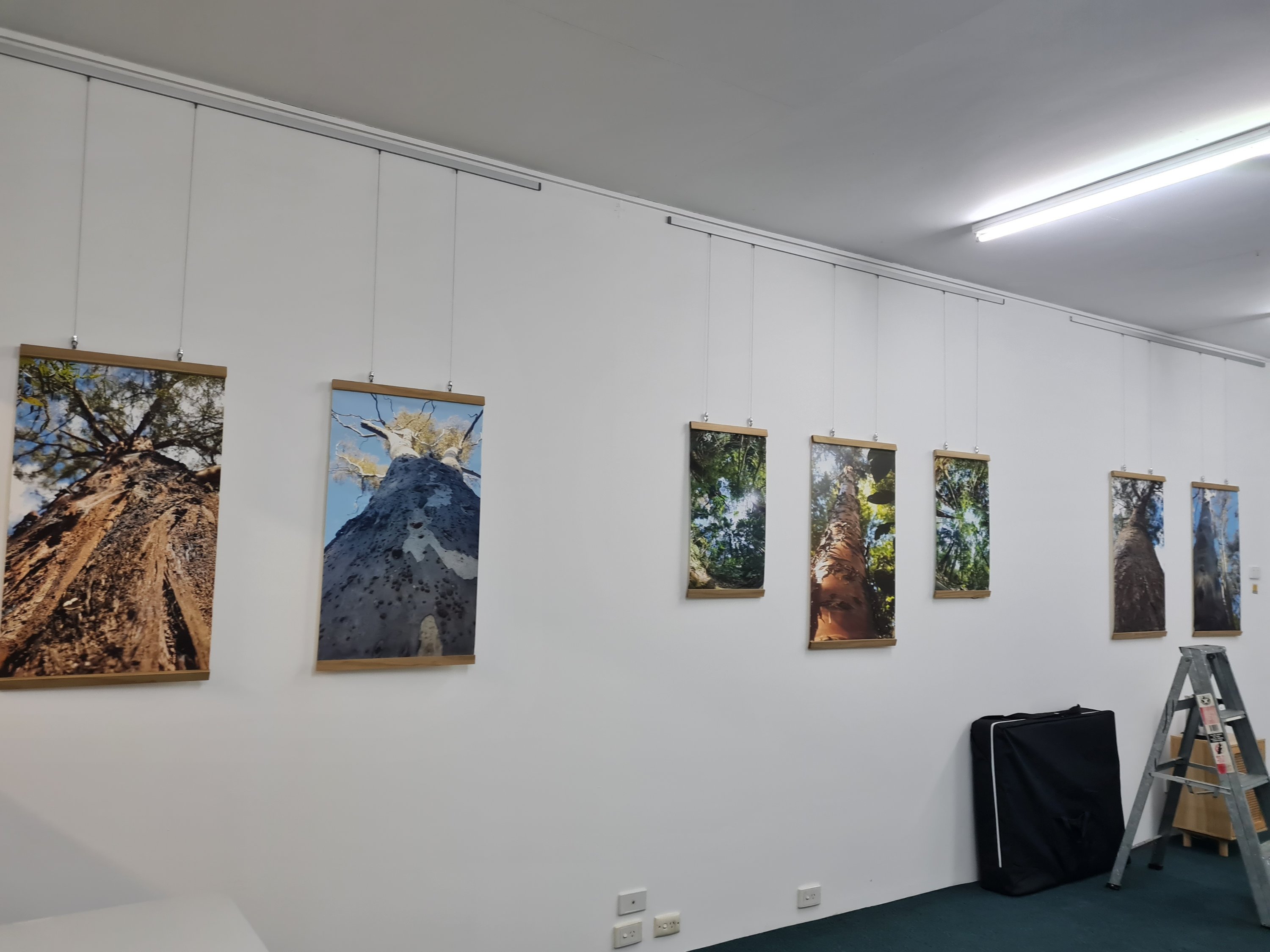 Studio – Treecreate