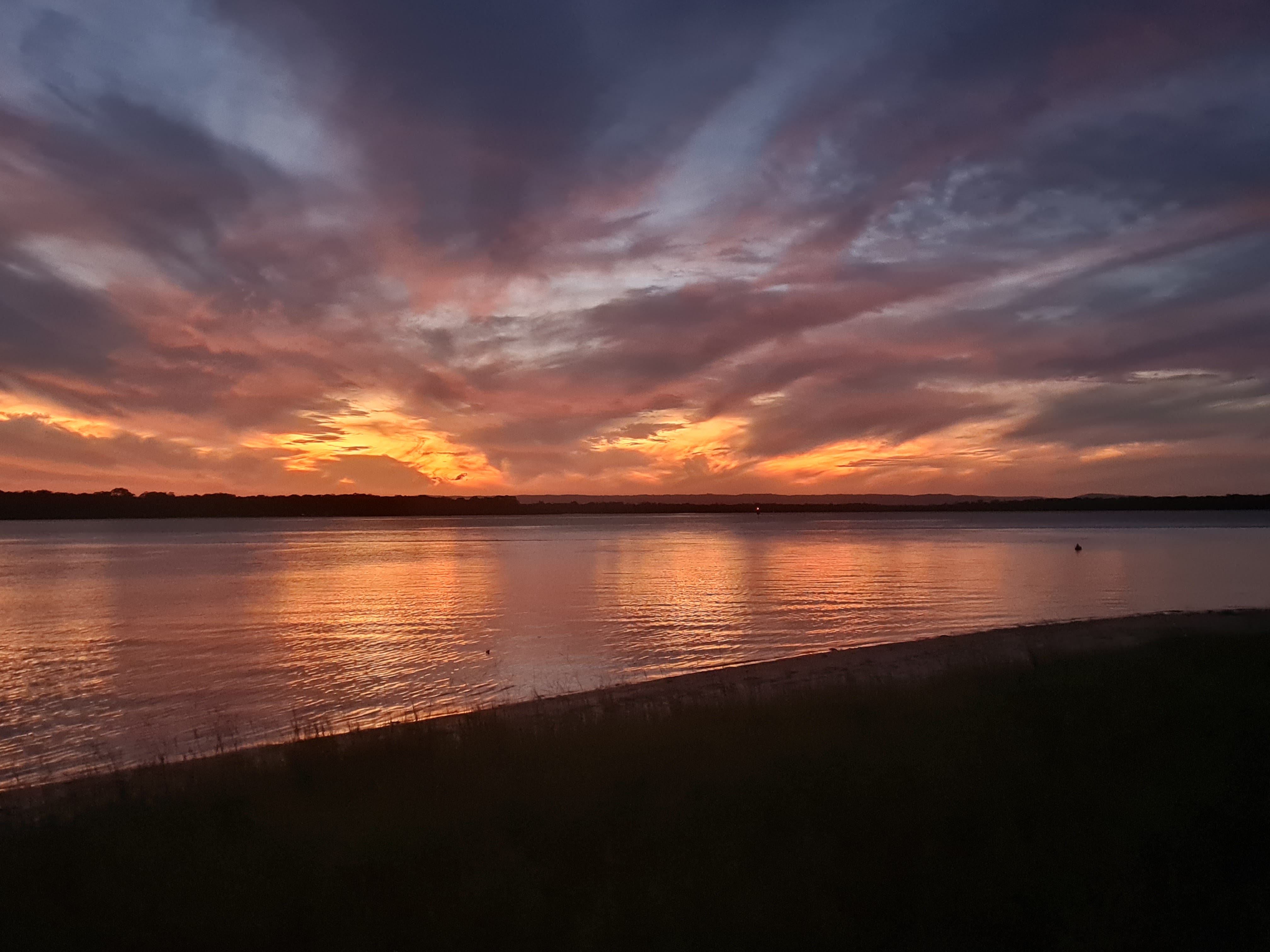 Register your interest in Treecreative workshops – Treecreate