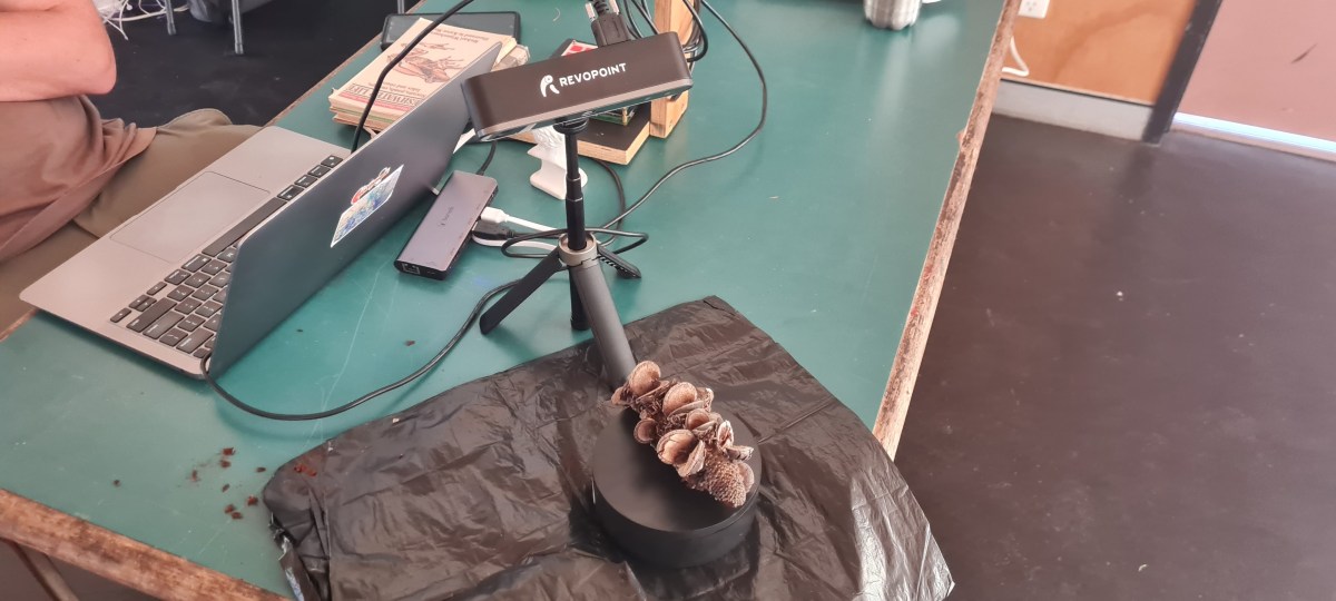 AwhiWorld at Weaving Water @ Yarun – Treecreate