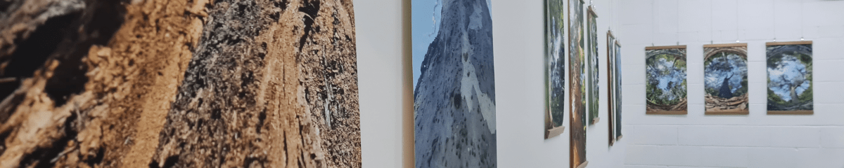 Studio – Treecreate