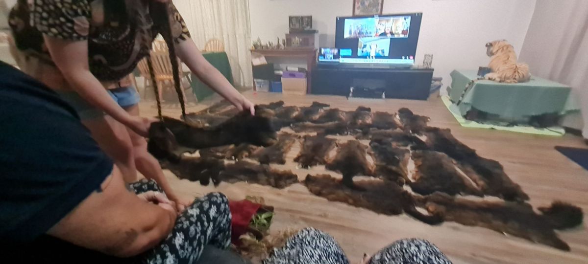 Possum skin cloak – Weaving Water connections across the Tasman – Treecreate